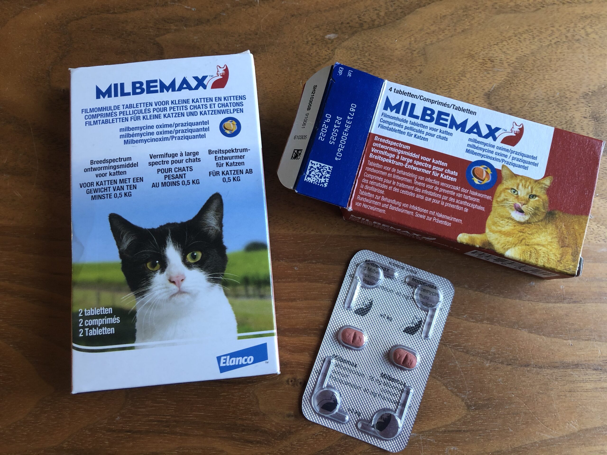 Hoe vaak moet je je kat ontwormen? - Kattendingetjes